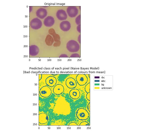 Ml Guide On Cell Segmentation Using Watershed Algorithm